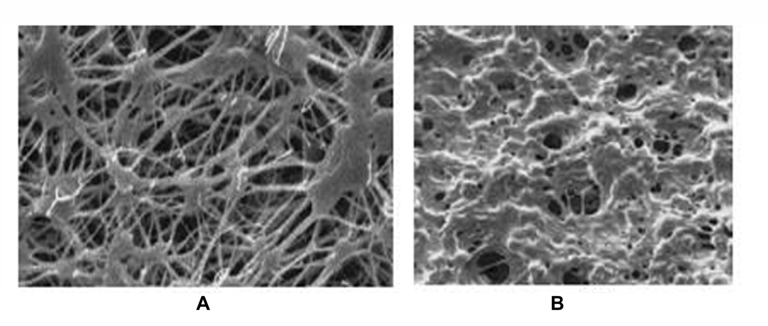 The Science and Innovation Behind Waterproof Breathable Fabrics